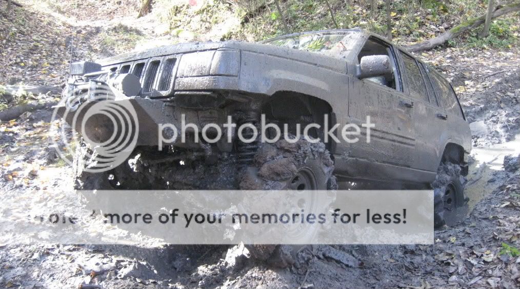 Post your 'Car Pron' pictures! | 8th Generation Honda Civic Forum